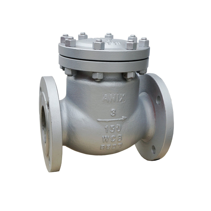CS Flanged Swing Check Valve 150 Trim 8 – EON SUPPLY INC
