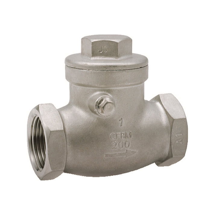SS316 Swing Check Valve 200 BSP – EON SUPPLY INC